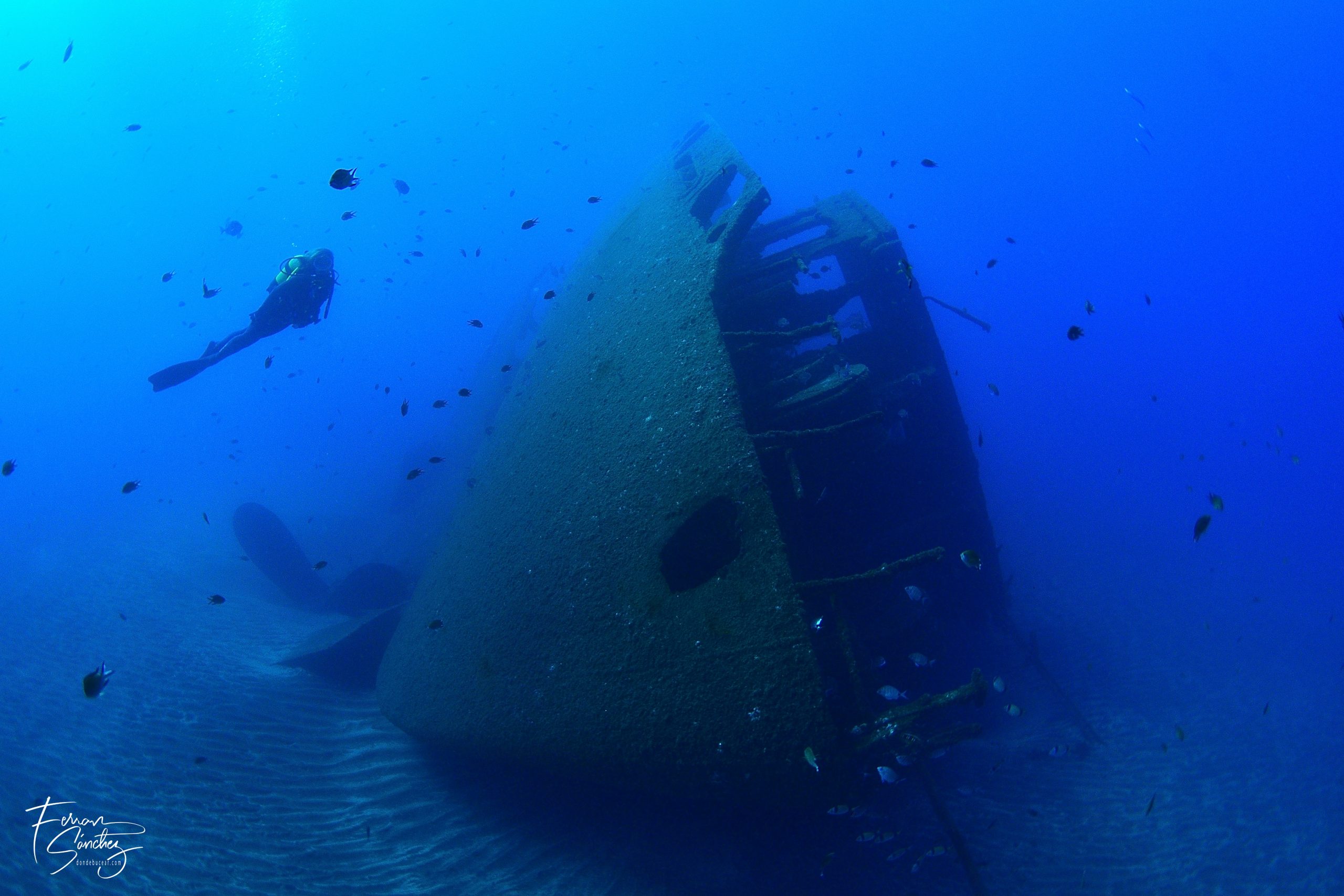 Buceo en Azores Isla de Sao Miguel - Los mejores lugares dondebucear