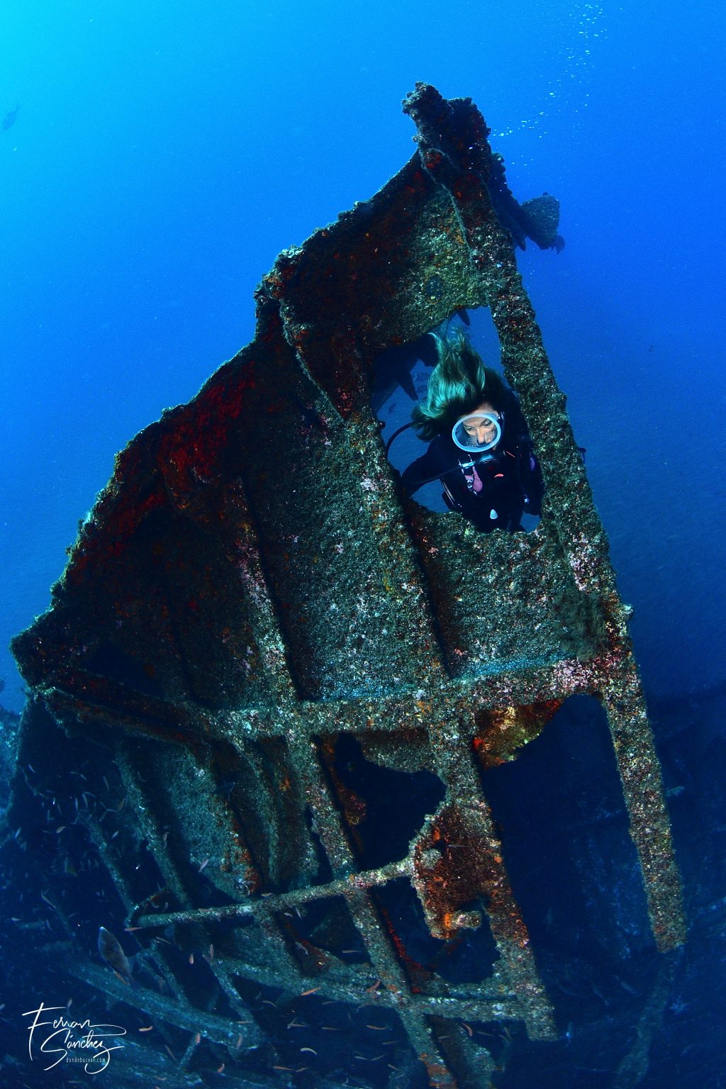 Buceo en Azores Isla de Sao Miguel - Los mejores lugares dondebucear