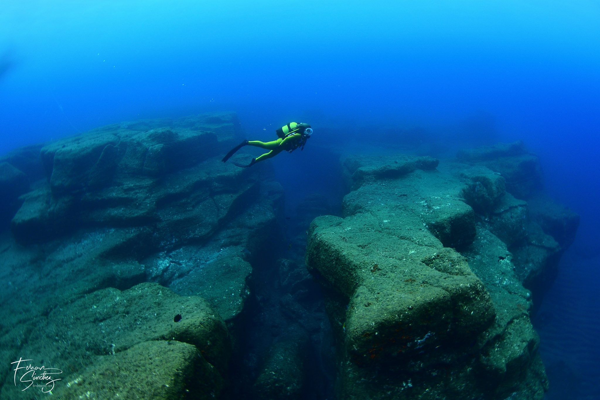 Buceo en Azores Isla de Sao Miguel - Los mejores lugares dondebucear