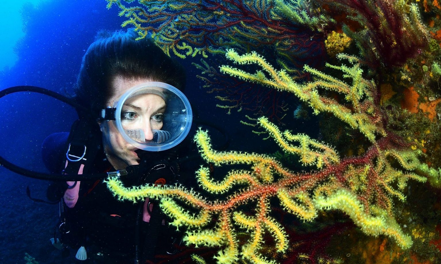 Buceo en Azores Isla de Sao Miguel - Los mejores lugares dondebucear