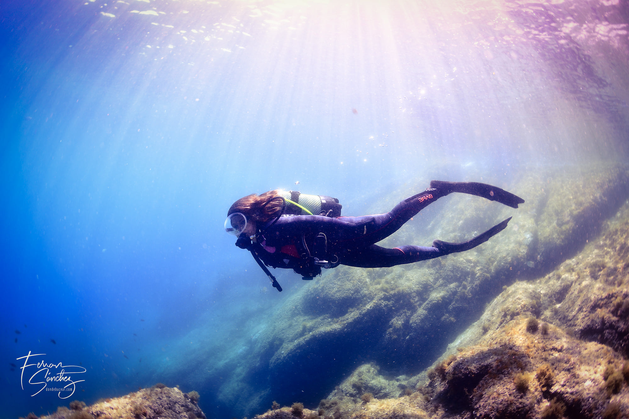 Las mejores inmersiones de Roses · Costa Brava